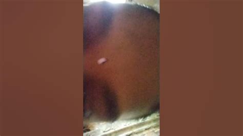 Uuuhmmmmm Day1 Of Looping😜 Comedy Youtube