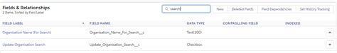 Salesforce Global Search On Lookups Cloud Mantras