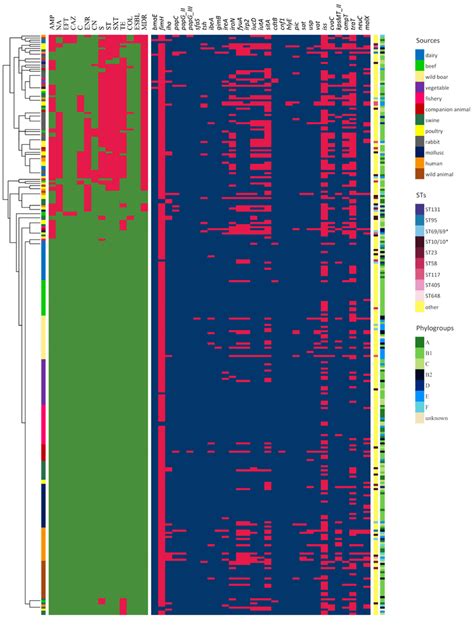 Heat Map Depicting Phenotypic Amr And Carriage Of Typical Expec Vags In