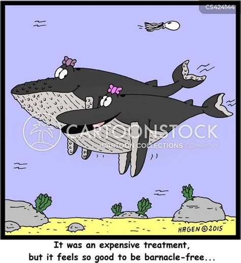 Barnacles Cartoons And Comics Funny Pictures From Cartoonstock
