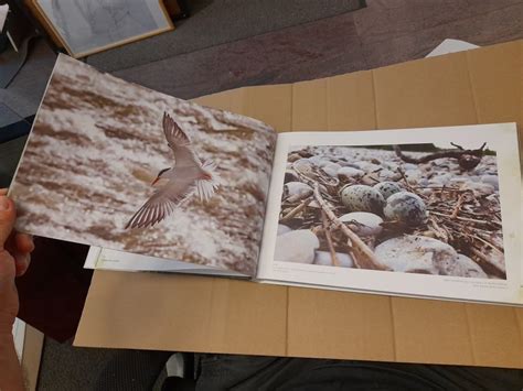 Biljana Janev Hutinec Lana Jelić Gradski Prozor U Prirodu 2022 Novo