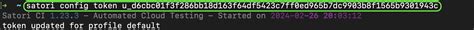 Install Satori Ci Documentation