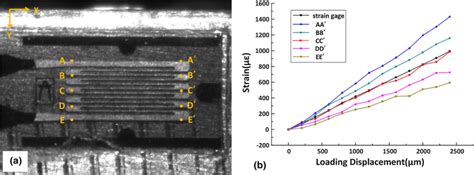 Field Of View Of Strain Measurement A 10 Selected Point For Dic