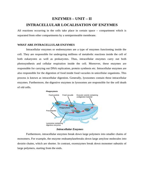 Intra Cellular Localisation Of Enztymes Pdf