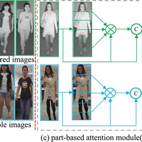 Idea Illustrationa Infrared Modality Person Images From Different