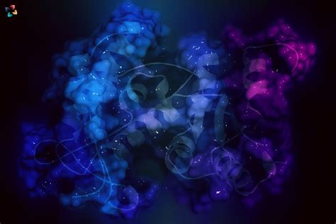 Polyclonal Vs Monoclonal Antibodies Research Medicine And