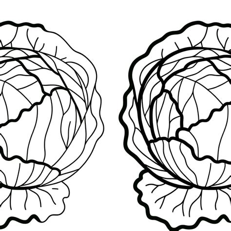 Coloriages Chou Gratuits à Imprimer Amusez Vos Enfants