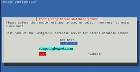 Install And Use Bareos Backup Solution On Debian 11debian 10