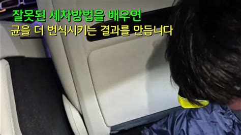 세차 스팀 디테일링 어려운 직업 잘알고 배워서 창업 하자 아직도 2대 ~10대 케어하고 창업 인테리어 조명 약품 세차창 허가