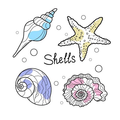 Premium Vector Vector Drawing Sea Different Seashells Drawn By A Line