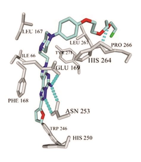 Docking Results Of 2729 Via Glide Xp Method The Interacting Residues