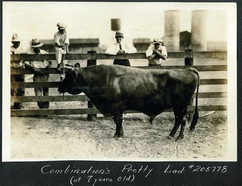 Bluebonnet Electric Cooperative At The Luling Foundation Refining The Production Of The Very