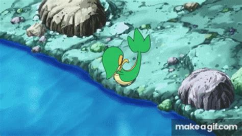 Snivy 
