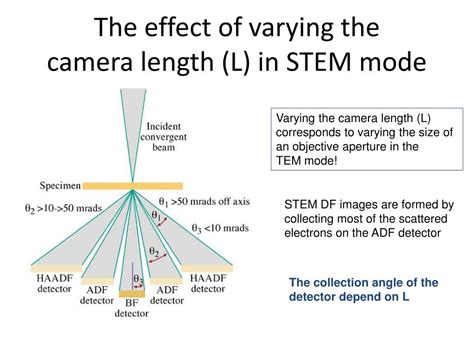 Ppt Contrast In Tem And Stem Powerpoint Presentation Free Download