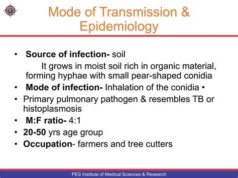 Systemic Mycosis Pptx