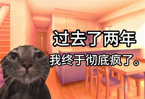 【猫meme】关于我辍学做vtb这件事 奶油 Cream 奶油 Cream 哔哩哔哩视频