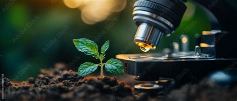 Microscope And Sprout A Close Up Shot Of A Microscope Lens Focusing On A Tiny Sprout Breaking