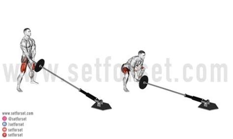 The Ultimate Guide To The Sumo Deadlift Set For Set