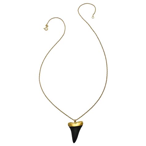 Mako Shark Drawing At Getdrawings Free Download