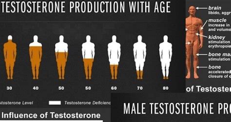 Testosterone Replacement Therapy Side Effects For Men Testosterone