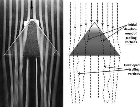 Aerodynamics Do Trailing Edge Vortices Exist In Reality Aviation