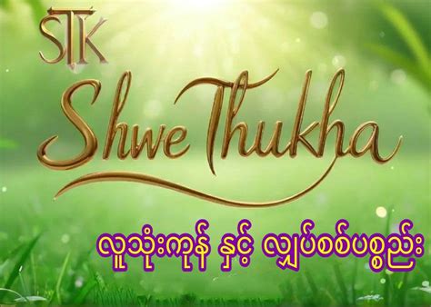 ရွှေနိုင်ငံ လူသုံးကုန် အိမ်သုံးပစ္စည်း အမျိုးမျိုးဖြန့်ချိရေး