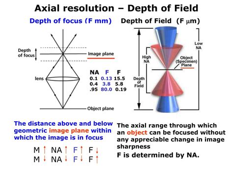 Ppt Optical Microscopy Powerpoint Presentation Free Download Id