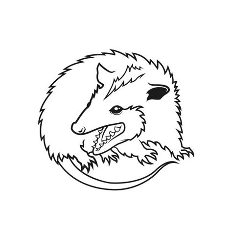 454 Possum Pie High Res Vector Graphics Getty Images