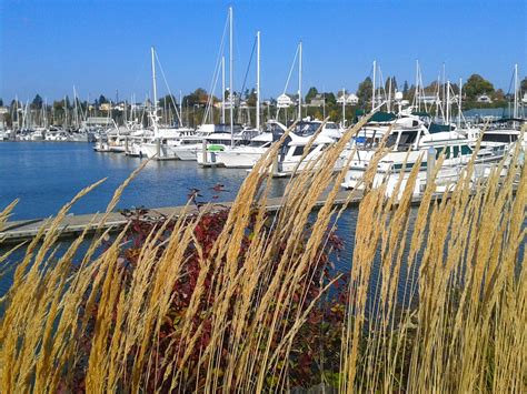 Motivation Vs Desperation Dominic Kotarski