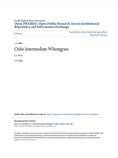 Oahe Intermediate Wheatgrass Thinopyrum Intermedium