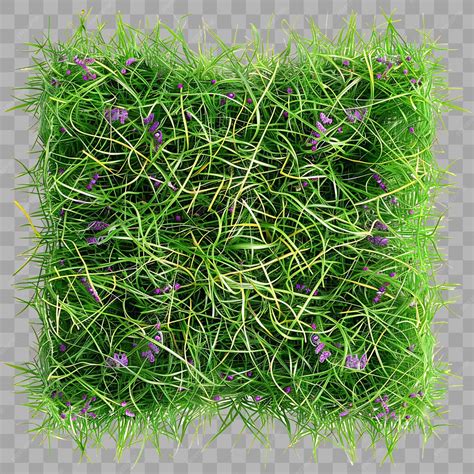 Psd Gulf Muhly Bright Green Grass With Purple Ladybugs And Yello Isolated Png Decor Layout