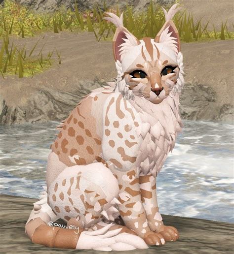 Cyprus Cat White And Brown Wcue Morph In 2025 Warrior Cat Creator