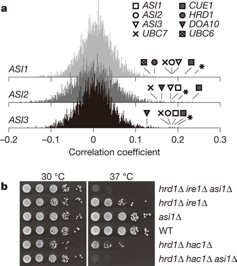 Functional Overlap Between Asi And Erad E3 Ubiquitin Ligases A