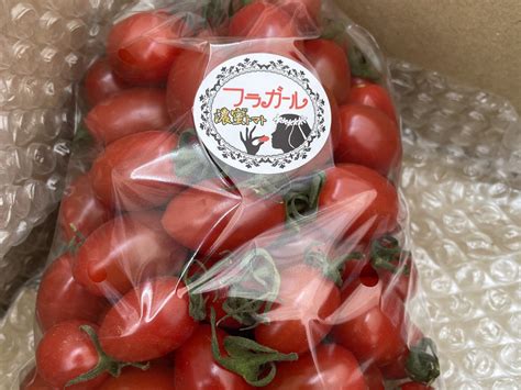 食味を極限まで追求した！フラガールトマト 1kg500g×2袋）：埼玉県産のフラガール｜食べチョク｜産地直送産直お取り寄せ通販 農家・漁師から旬の食材を直送