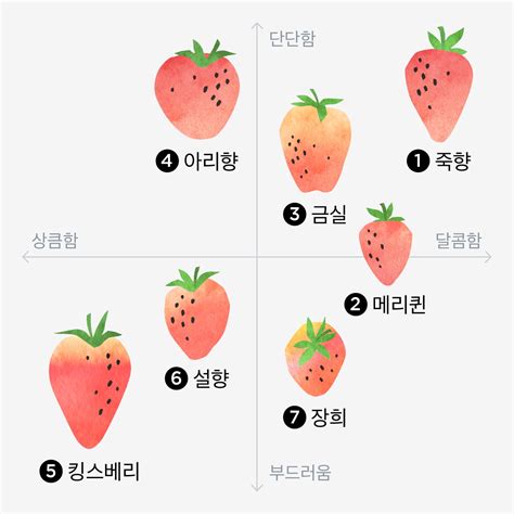과일 소믈리에 올프레쉬 프리미엄 Gap 금실 딸기 과일 선물 세트 小 410g 당도 12brix 이상 집들이 선물