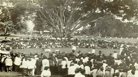 Kisah Adu Domba Di Alun Alun Garut Sebuah Warisan Budaya Tahun 1902 Garut 60 Detik