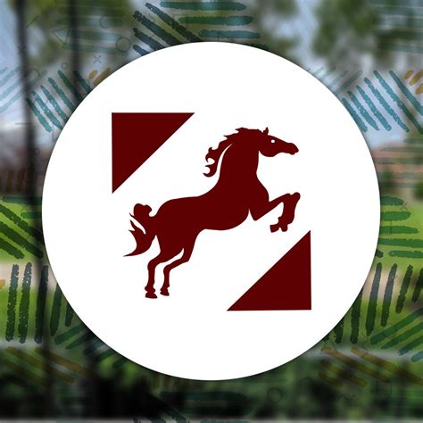 About Riccardo Cervini Medium