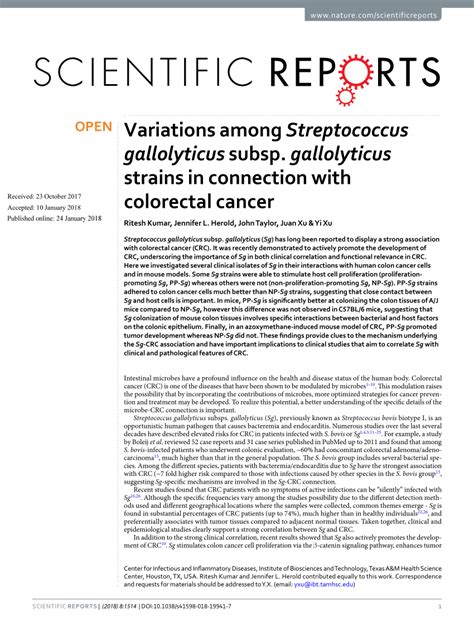 Pdf Variations Among Streptococcus Gallolyticus Subsp Gallolyticus