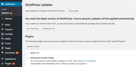 A Deep Dive Into Wordpress Automatic Updates