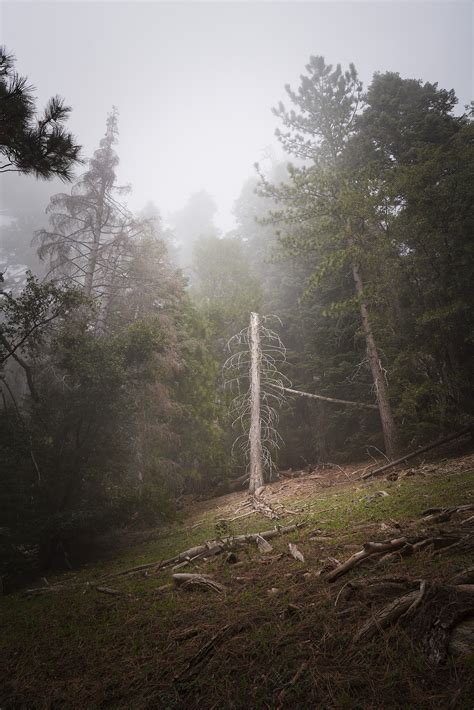 Mount San Jacinto STEVEN W BINDER Photography