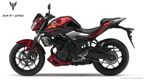 Yamaha Mt 25 Top Speed Expected Specs And Price In India