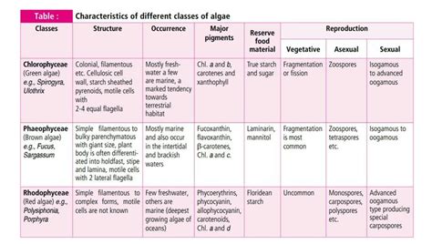 Characteristics Of Different Classes Of Algae Characteristics Of Different Classes Of Algae