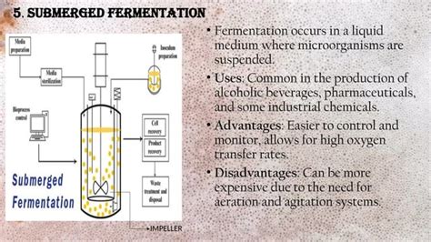 Fermentation Presentation Very Easy Ppt Ppt