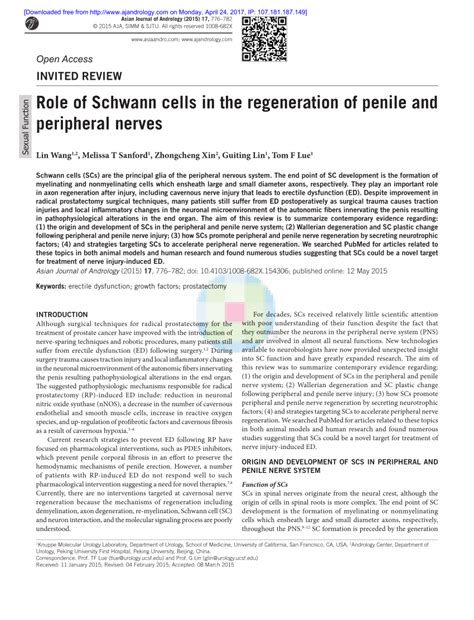 Pdf Ab106 Role Of Schwann Cells In The Regeneration Of Penile And