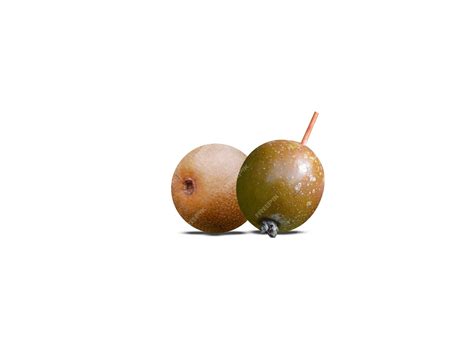 Premium Photo Pyrus Cordata Or Plymouth Pear Is A Deciduous Shrub And
