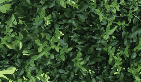 Leaf Of Tree Texture Vector Background Nature Vector Concept