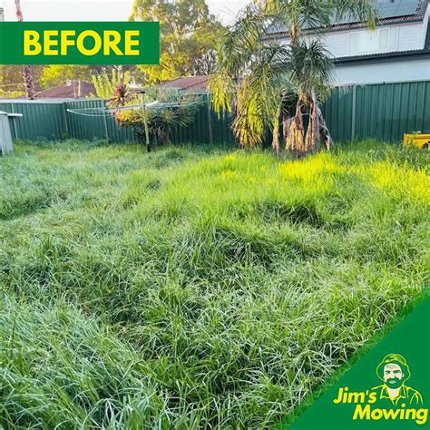 Grass Slashing Jims Mowing Australia Your Local Expert Call 131 546