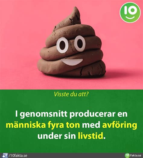 Gräv Djupare 10 Saker Du Inte Visste Om Din Navel