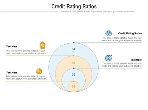 Credit Rating Ratios Ppt Powerpoint Presentation File Structure Cpb
