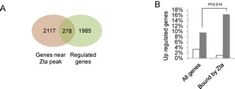 Intersection Of Chip Seq And Rna Seq Data A The Diagram Shows The